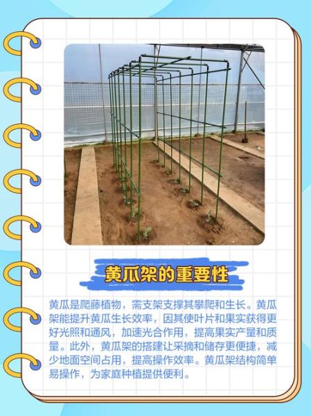 节瓜搭架用什么材料_节瓜搭架方法视频教程-第2张图片-山城妙识