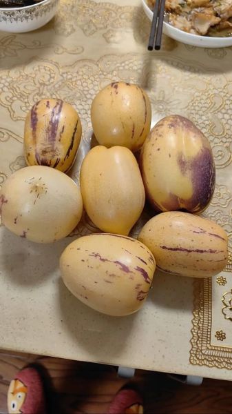 人参果一斤多少钱_人参果价格受哪些因素影响-第2张图片-山城妙识