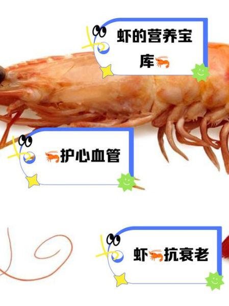 虾的营养价值及功效_吃虾的禁忌有哪些-第1张图片-山城妙识 虾的营养价值及功效_吃虾的禁忌有哪些-第1张图片-山城妙识