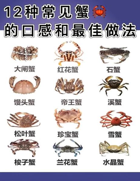 蟹的种类有哪些_如何区分淡水蟹和海水蟹-第2张图片-山城妙识 蟹的种类有哪些_如何区分淡水蟹和海水蟹-第2张图片-山城妙识