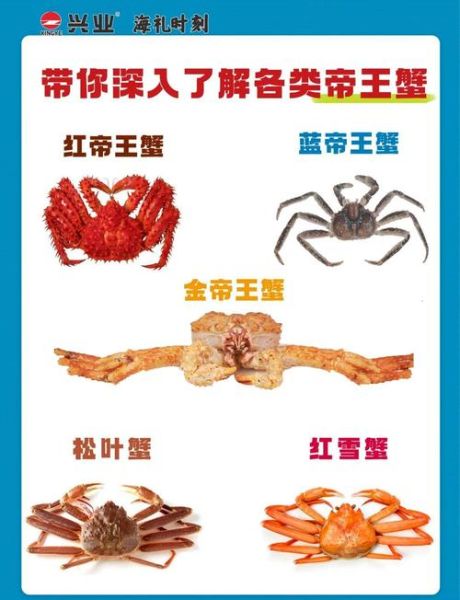 蟹的种类有哪些_如何区分淡水蟹和海水蟹-第3张图片-山城妙识 蟹的种类有哪些_如何区分淡水蟹和海水蟹-第3张图片-山城妙识