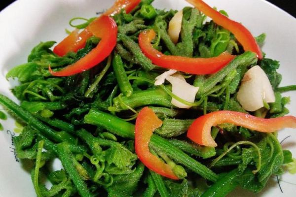 南瓜叶怎么做好吃_南瓜叶的做法大全-第2张图片-山城妙识 南瓜叶怎么做好吃_南瓜叶的做法大全-第2张图片-山城妙识