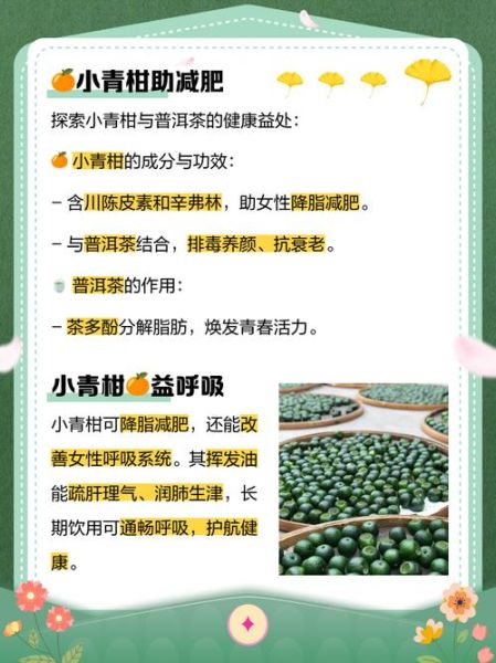 女人喝小青柑的坏处_小青柑对女性健康的影响-第3张图片-山城妙识