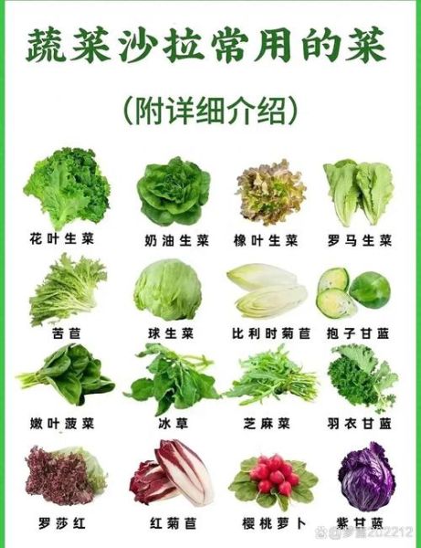 青菜类图片大全_如何快速识别常见品种-第1张图片-山城妙识 青菜类图片大全_如何快速识别常见品种-第1张图片-山城妙识