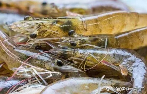 基围虾不去虾线能吃吗_不去虾线有什么危害-第3张图片-山城妙识