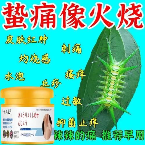 毛毛虫蛰伤怎么缓解疼痛_被毛毛虫蛰了怎么办-第3张图片-山城妙识 毛毛虫蛰伤怎么缓解疼痛_被毛毛虫蛰了怎么办-第3张图片-山城妙识