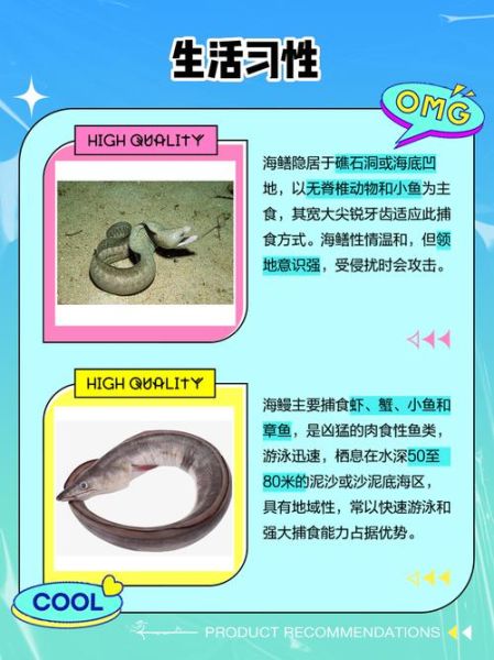 海鳝鱼和海鳗鱼的区别_哪个更好吃-第1张图片-山城妙识