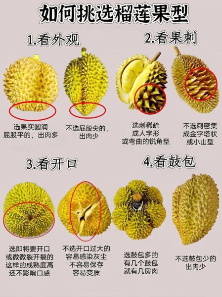 榴莲怎么开口快_榴莲开口技巧-第2张图片-山城妙识