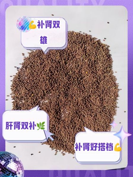 菟丝子功效与作用禁忌_菟丝子泡水喝的正确方法-第3张图片-山城妙识