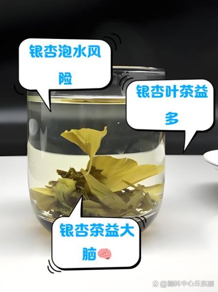 银杏叶能直接泡水喝吗_银杏叶泡水喝的正确方法-第1张图片-山城妙识