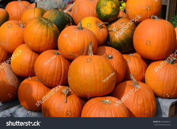 how_to_cook_pumpkin_from_scratch_is_pumpkin_healthy-第3张图片-山城妙识