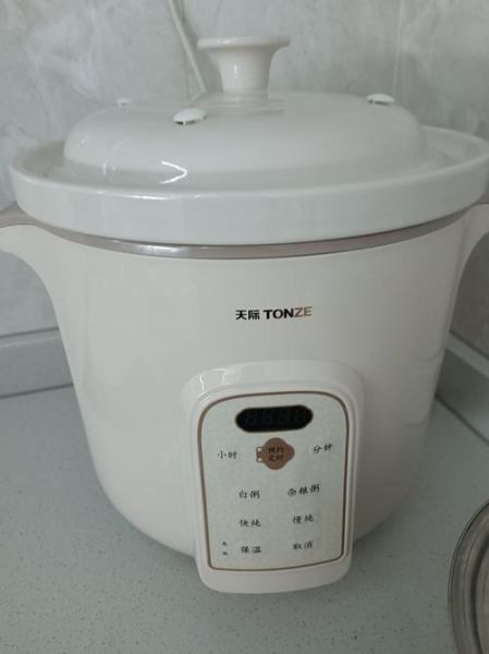 电炖锅怎么煲汤好喝_电炖锅煲汤做法大全-第3张图片-山城妙识