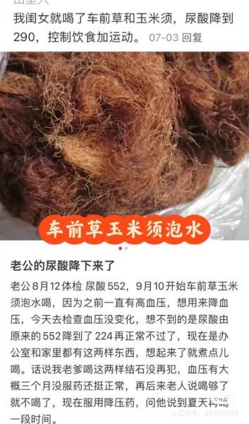 玉米须加什么治痛风_玉米须配什么降尿酸-第3张图片-山城妙识