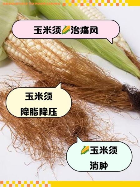 玉米须加什么治痛风_玉米须配什么降尿酸-第2张图片-山城妙识