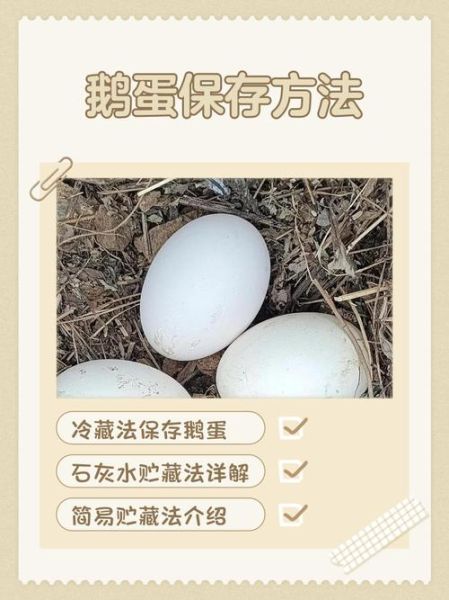 鹅蛋煮多久能熟_带皮煮鹅蛋的正确时间-第2张图片-山城妙识