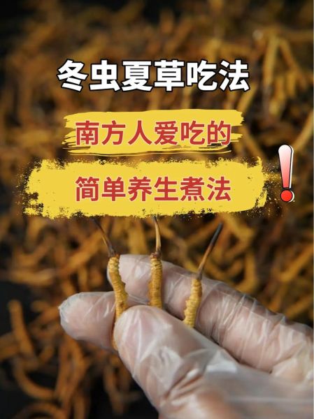 冬虫夏草能治什么病_怎么吃效果最好-第3张图片-山城妙识 冬虫夏草能治什么病_怎么吃效果最好-第3张图片-山城妙识