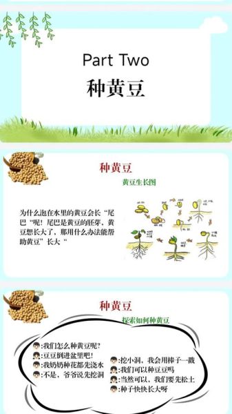 豆姓起源_豆姓历史渊源-第2张图片-山城妙识