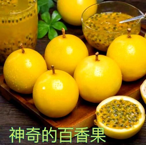 热带水果名称大全集_哪些水果适合家庭盆栽-第3张图片-山城妙识