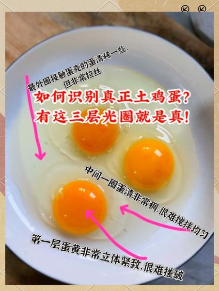假鸡蛋煮熟啥样_假鸡蛋煮熟后真假对比-第2张图片-山城妙识