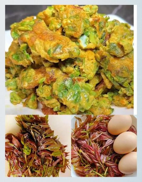 冻香椿怎么做好吃_冻香椿解冻后还能炒吗-第2张图片-山城妙识