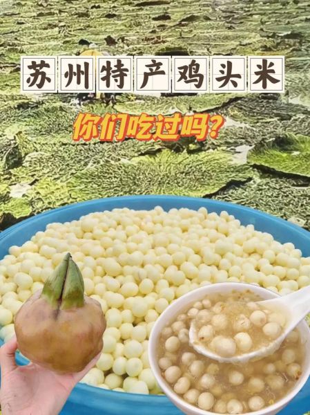 鸡头米价格多少钱一斤_鸡头米怎么挑选-第3张图片-山城妙识