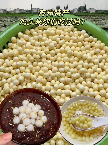 鸡头米价格多少钱一斤_鸡头米怎么挑选-第1张图片-山城妙识