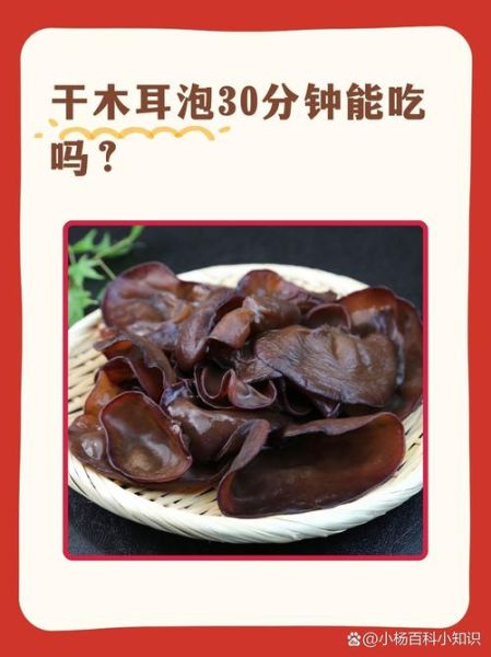 木耳的功效与作用_木耳泡多久就不能吃了-第2张图片-山城妙识