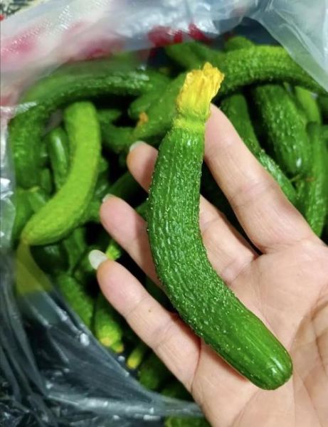 酱菜的做法大全_酱菜怎么腌制才脆爽-第3张图片-山城妙识 酱菜的做法大全_酱菜怎么腌制才脆爽-第3张图片-山城妙识