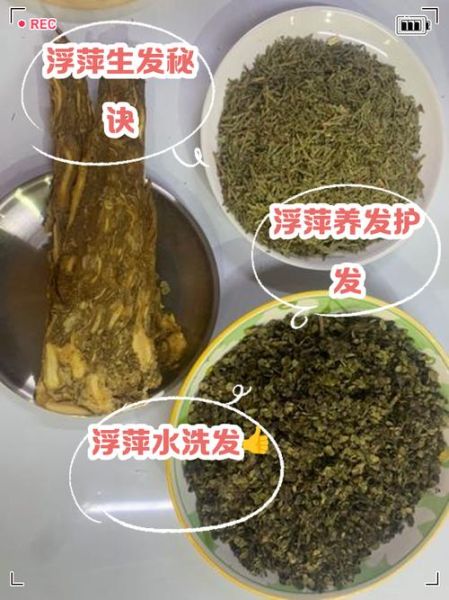 生发秘方真的有用吗_祖传生发偏方靠谱吗-第2张图片-山城妙识