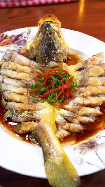 清蒸塘鲺鱼怎么做_清蒸塘鲺鱼的家常做法-第3张图片-山城妙识