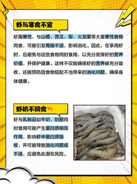 养虾风险大吗_新手养虾失败原因-第2张图片-山城妙识