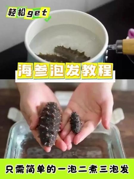 干海参怎么泡发_水发干海参的正确方法-第2张图片-山城妙识