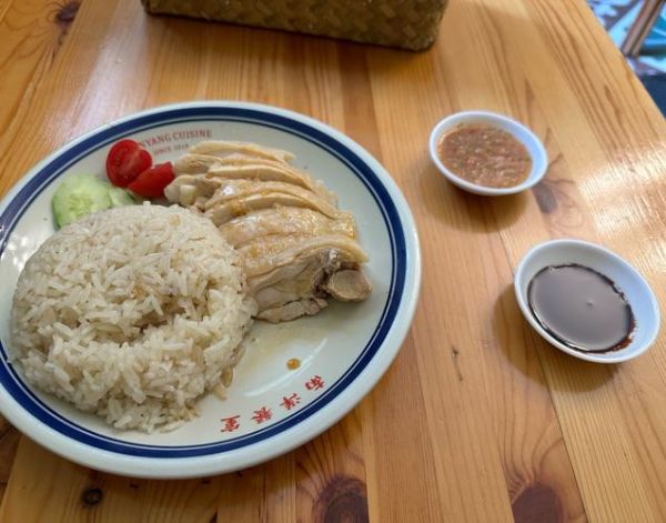 海南鸡饭怎么做_海南鸡饭正宗做法-第2张图片-山城妙识 海南鸡饭怎么做_海南鸡饭正宗做法-第2张图片-山城妙识