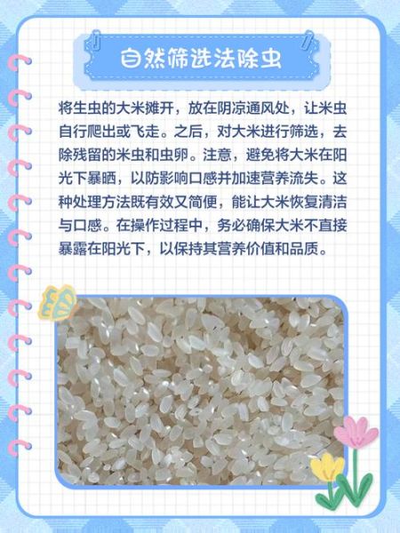 大米生虫还能吃吗_大米长虫怎么处理-第1张图片-山城妙识