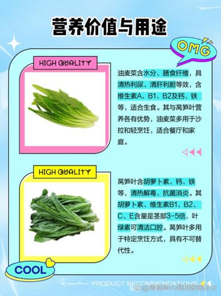 油麦菜和莴笋的区别_油麦菜长大是不是莴笋-第3张图片-山城妙识