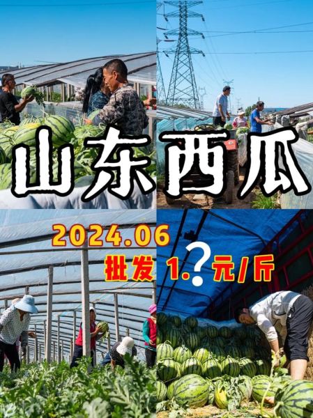 西瓜价格多少钱一斤_2024年最新行情-第3张图片-山城妙识