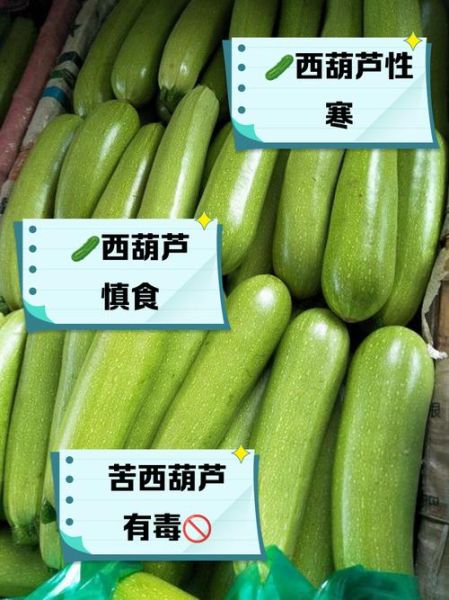 吃西葫芦的害处_西葫芦吃多了有什么坏处-第3张图片-山城妙识