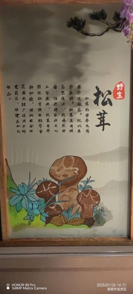 松茸的营养价值及功效与作用_松茸怎么吃最营养-第3张图片-山城妙识