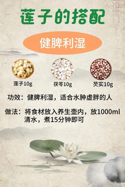 莲子吃多了会怎么样_莲子一天吃多少粒合适-第3张图片-山城妙识