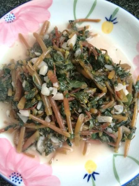 蚂蚱菜凉拌怎么做_蚂蚱菜凉拌需要焯水吗-第1张图片-山城妙识 蚂蚱菜凉拌怎么做_蚂蚱菜凉拌需要焯水吗-第1张图片-山城妙识