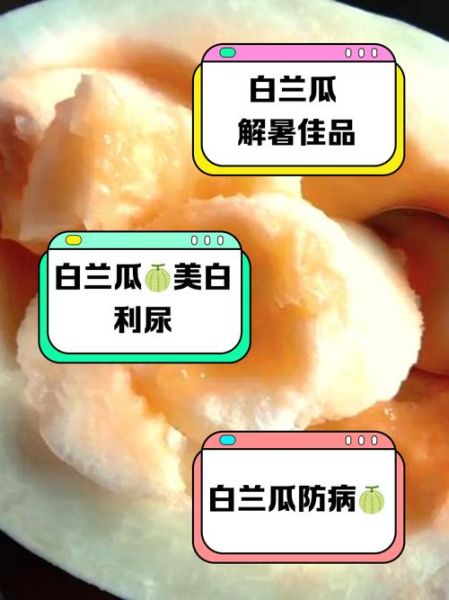 白兰瓜是水果还是蔬菜_白兰瓜属于哪一类-第3张图片-山城妙识