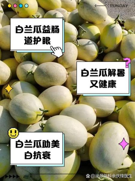 白兰瓜是水果还是蔬菜_白兰瓜属于哪一类-第1张图片-山城妙识