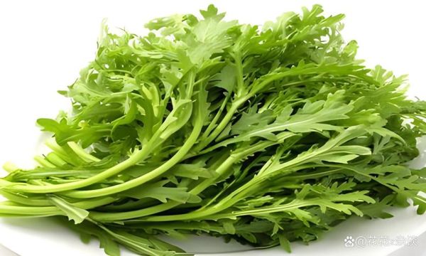 茼蒿是痛风的克星吗_痛风能吃茼蒿吗-第2张图片-山城妙识