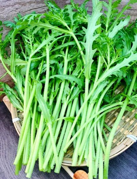 茼蒿是痛风的克星吗_痛风能吃茼蒿吗-第1张图片-山城妙识