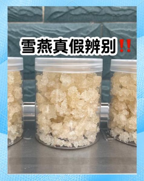 雪燕是什么样子_雪燕真假怎么分辨-第1张图片-山城妙识 雪燕是什么样子_雪燕真假怎么分辨-第1张图片-山城妙识