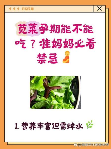 孕妇能吃发菜吗_孕妇吃发菜注意事项-第2张图片-山城妙识