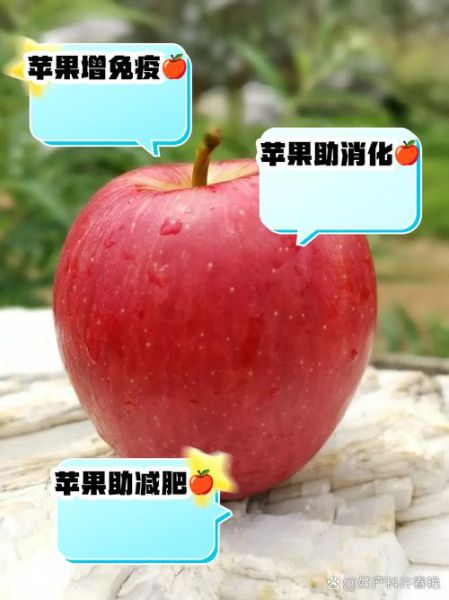 每天吃一个苹果坚持1年会怎样_苹果一年变化-第3张图片-山城妙识
