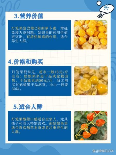 灯笼果和姑娘果的区别_哪个更甜-第1张图片-山城妙识