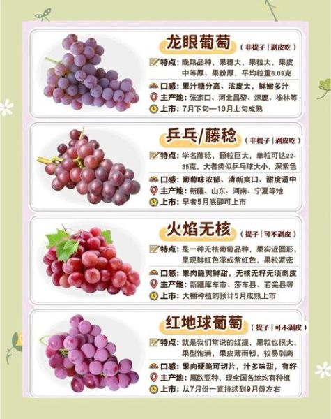 葡萄能减肥吗_葡萄的功效与作用-第2张图片-山城妙识 葡萄能减肥吗_葡萄的功效与作用-第2张图片-山城妙识