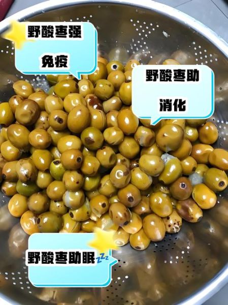 野酸枣的功效与作用_野酸枣怎么吃效果最好-第1张图片-山城妙识